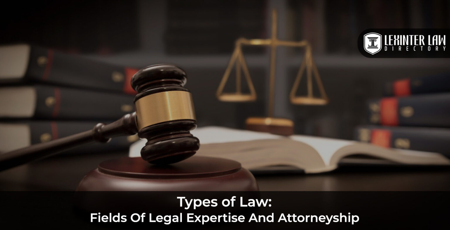 Types Of Law: Fields Of Legal Expertise And Attorneyship - Lexinter